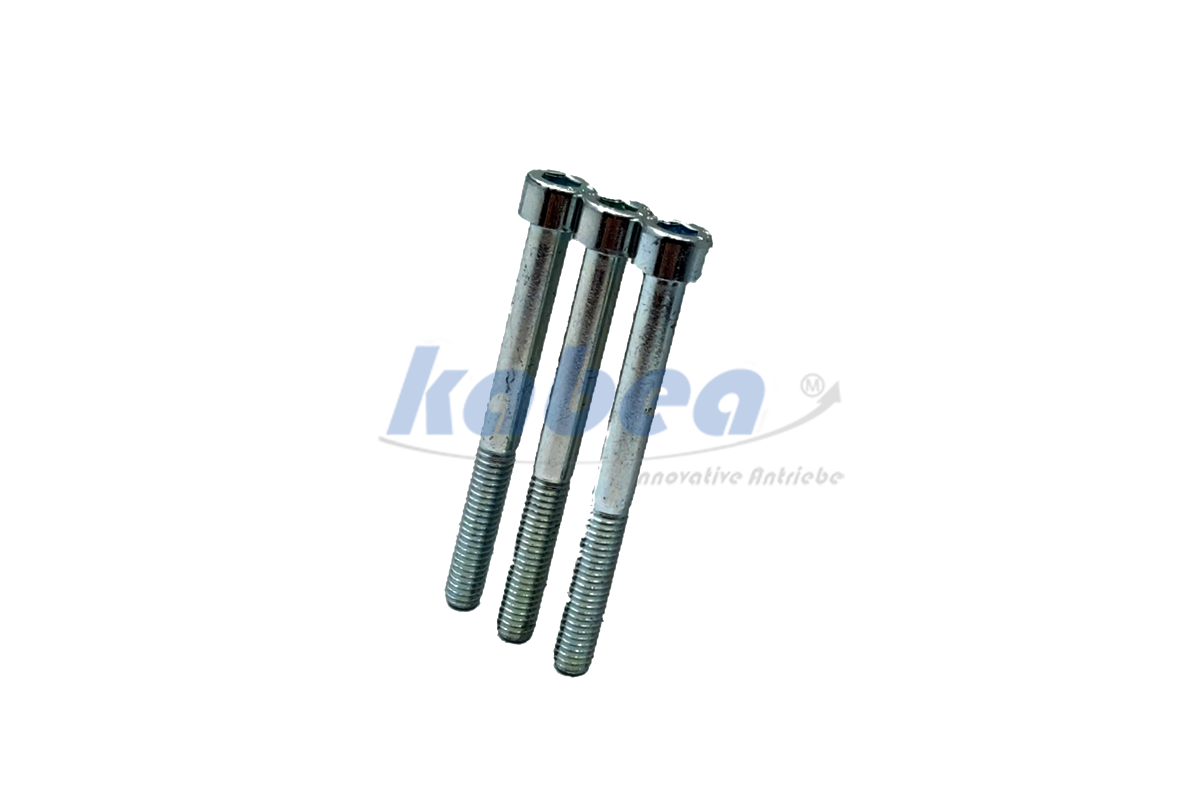 Screw kit for Intorq BFK458-16 kabea GmbH - your shop